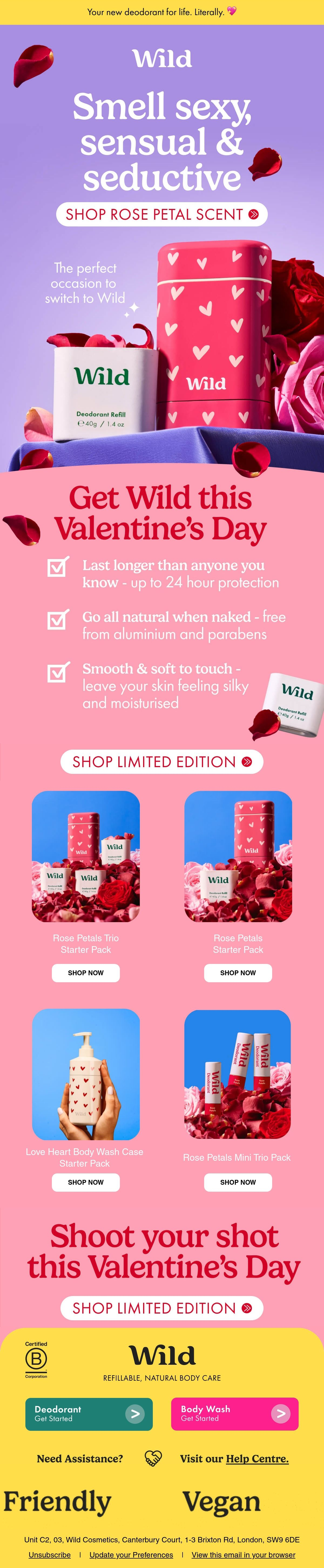 Email Design Inspiration by Wild