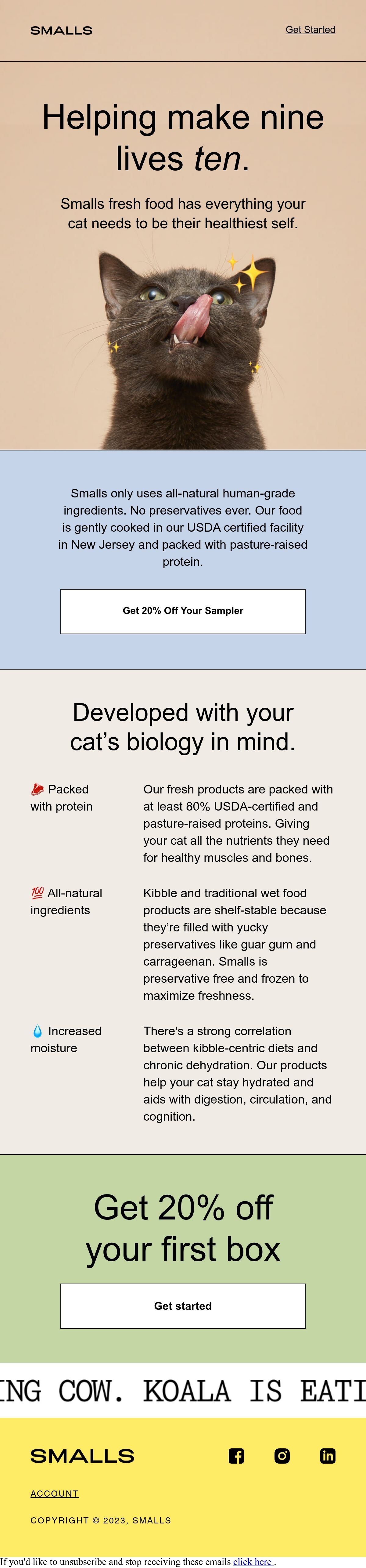 Email Design Inspiration by Smalls