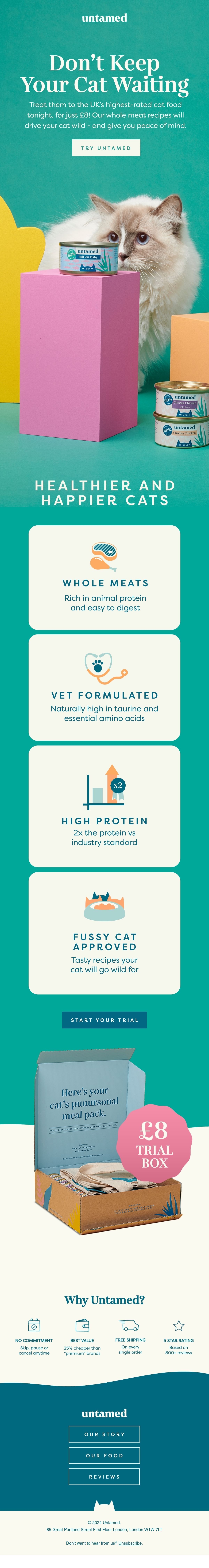 Email Design Inspiration by Untamed