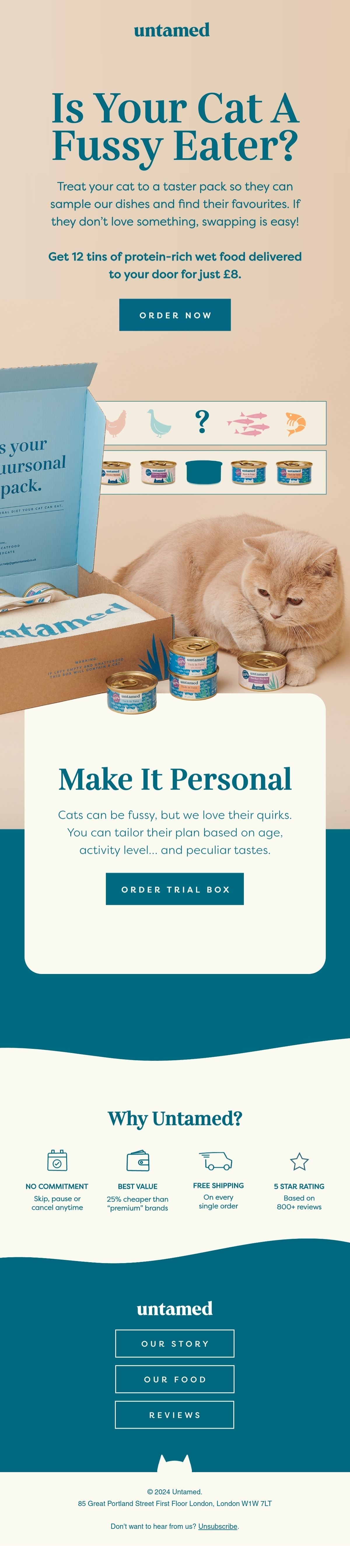 Email Design Inspiration by Untamed