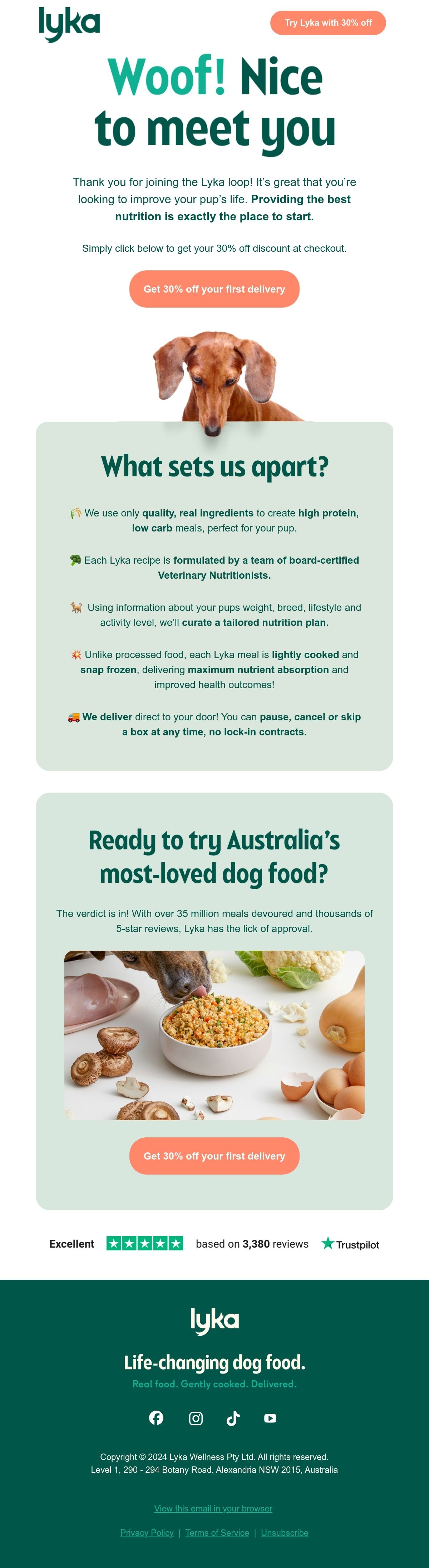 Email Design Inspiration by Lyka Pet Food