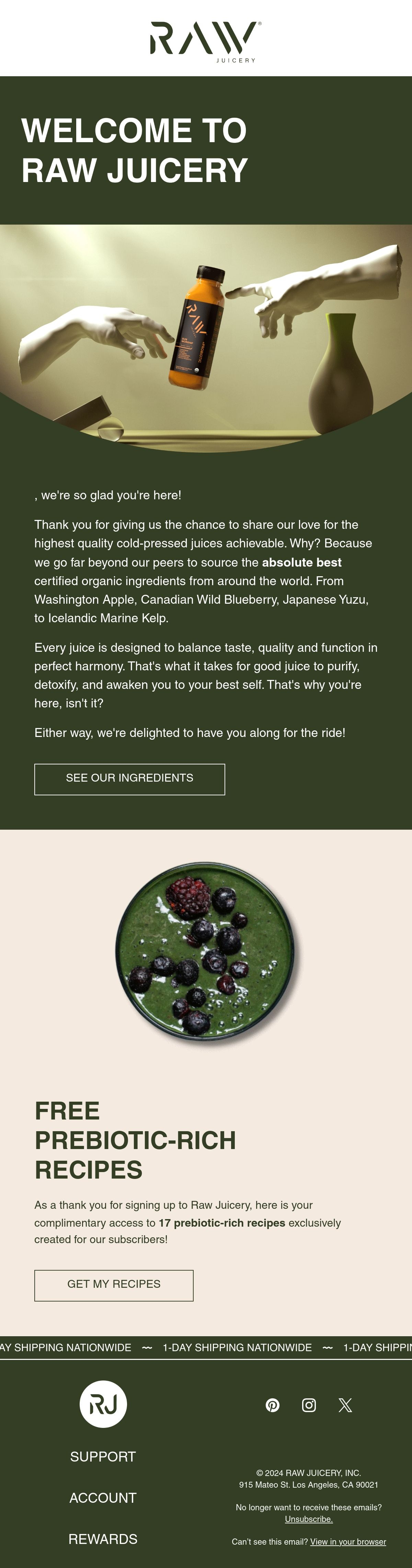 Email Design Inspiration by Raw Juicery