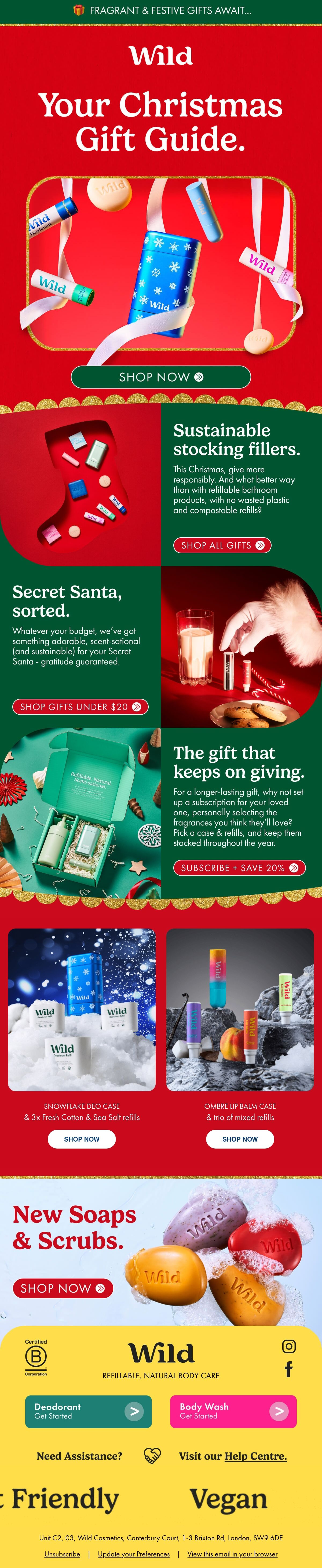 Email Design Inspiration by Wild