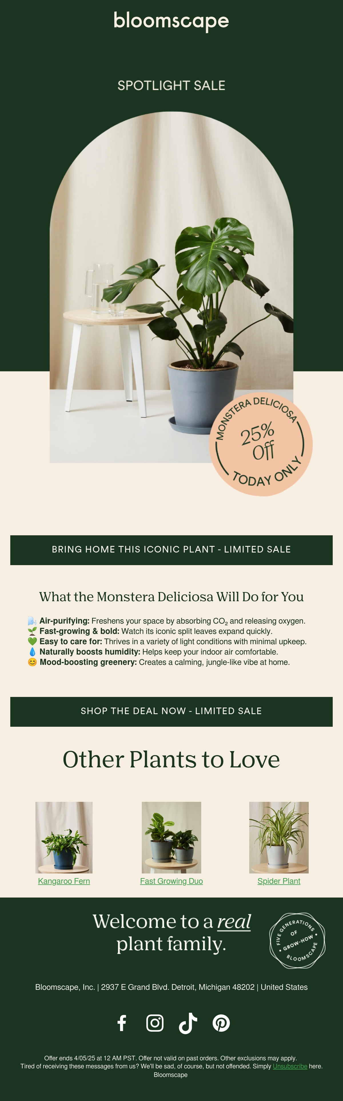 Email Design Inspiration by Bloomscape