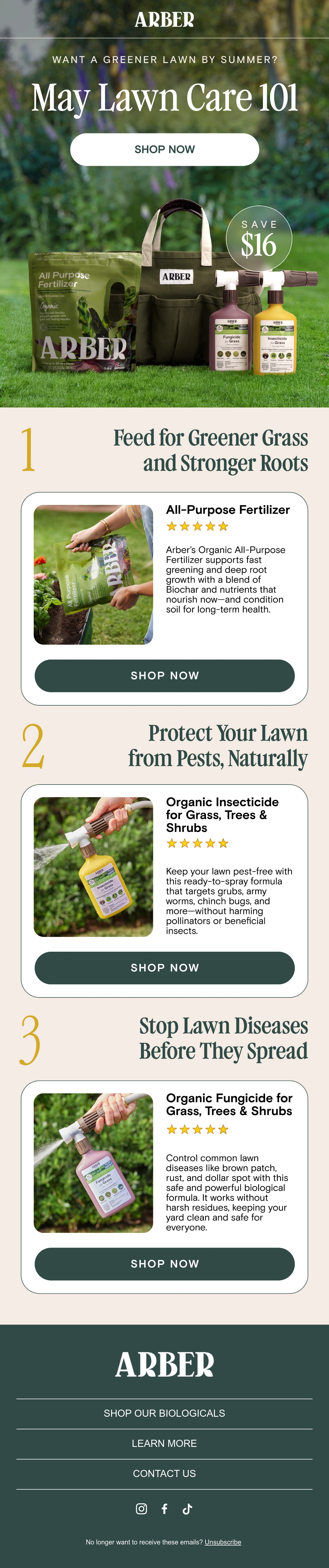 Email Design Inspiration by Lumen