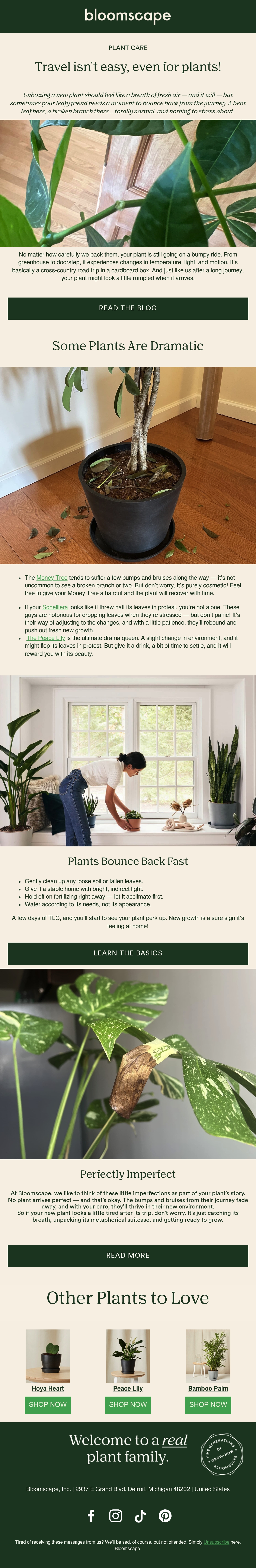 Email Design Inspiration by Bloomscape