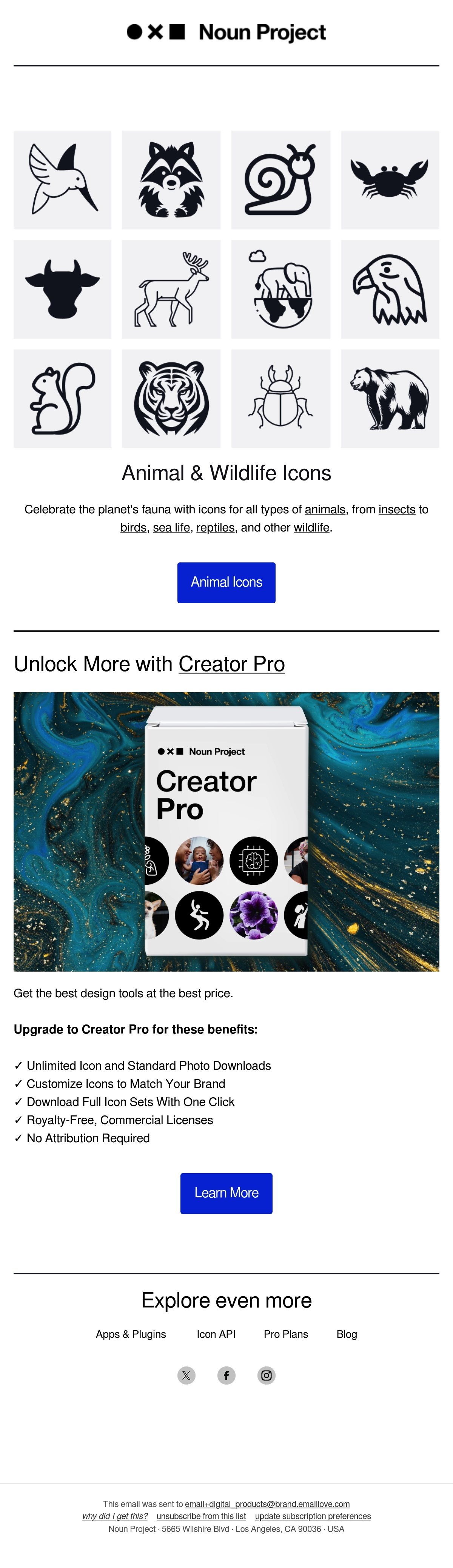 Email Design Inspiration by Noun Project