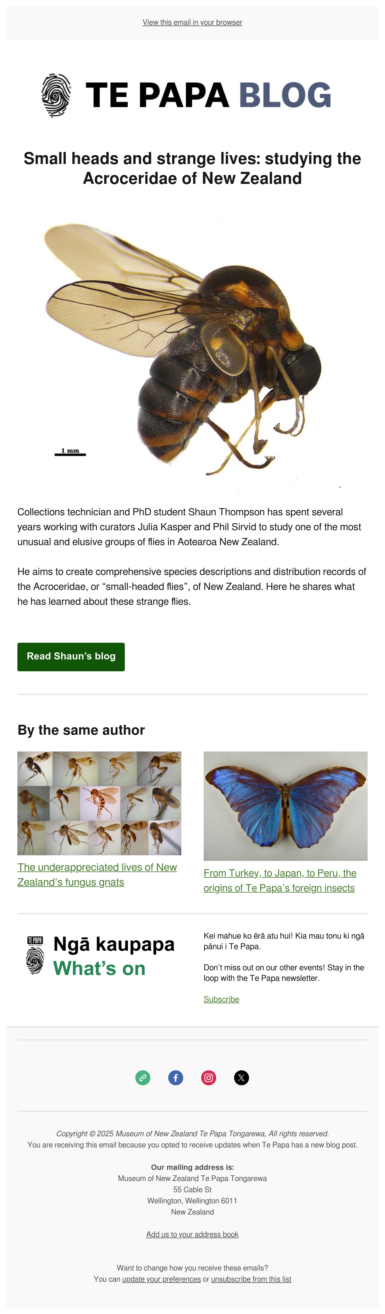 Email Design Inspiration by Te Papa
